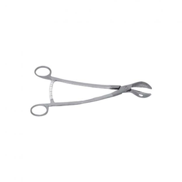 Burn Bone Holding Forceps Heavy Duty | Vigrortho